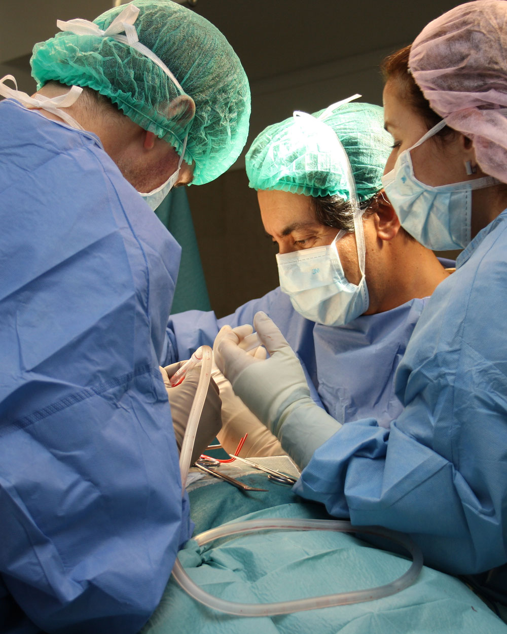 Presentation - RISE Health